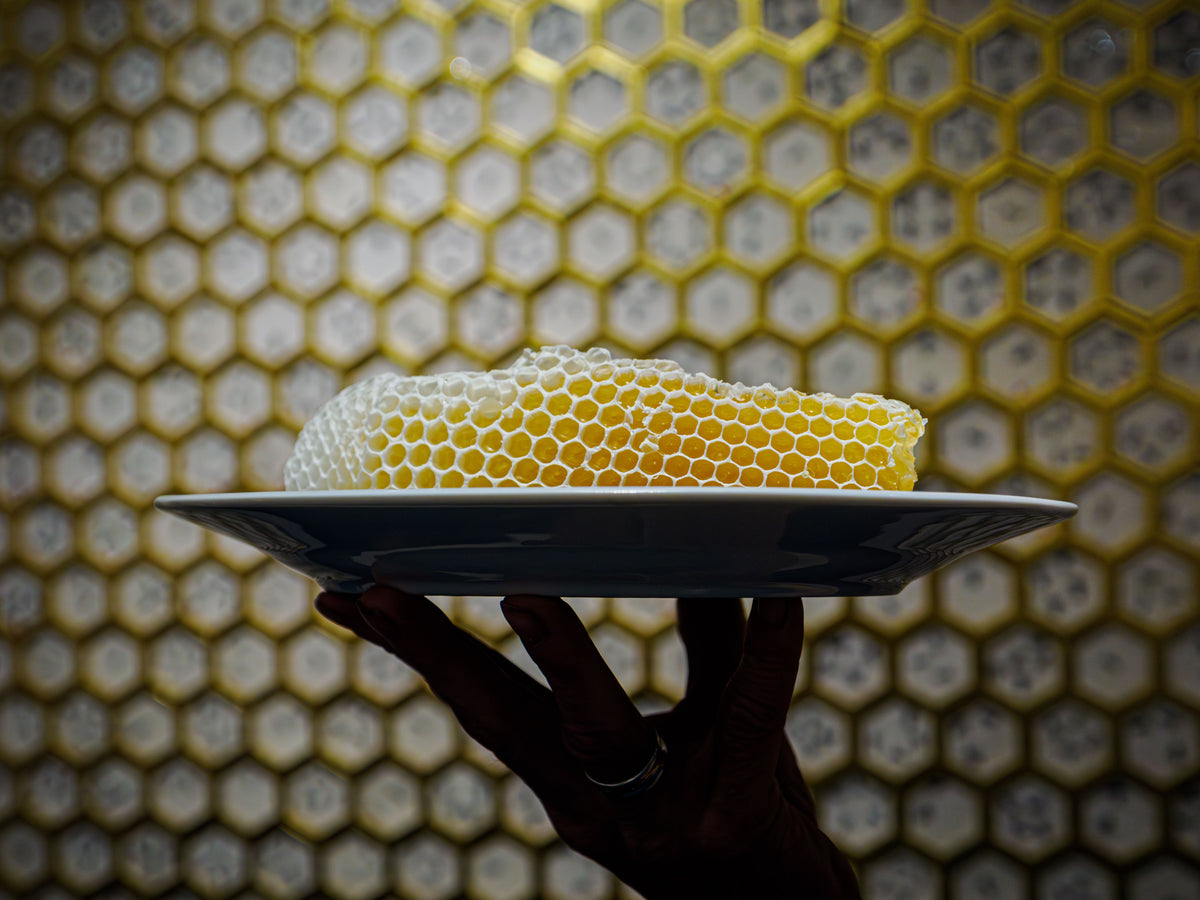 Honeycomb – Tom Rooth
