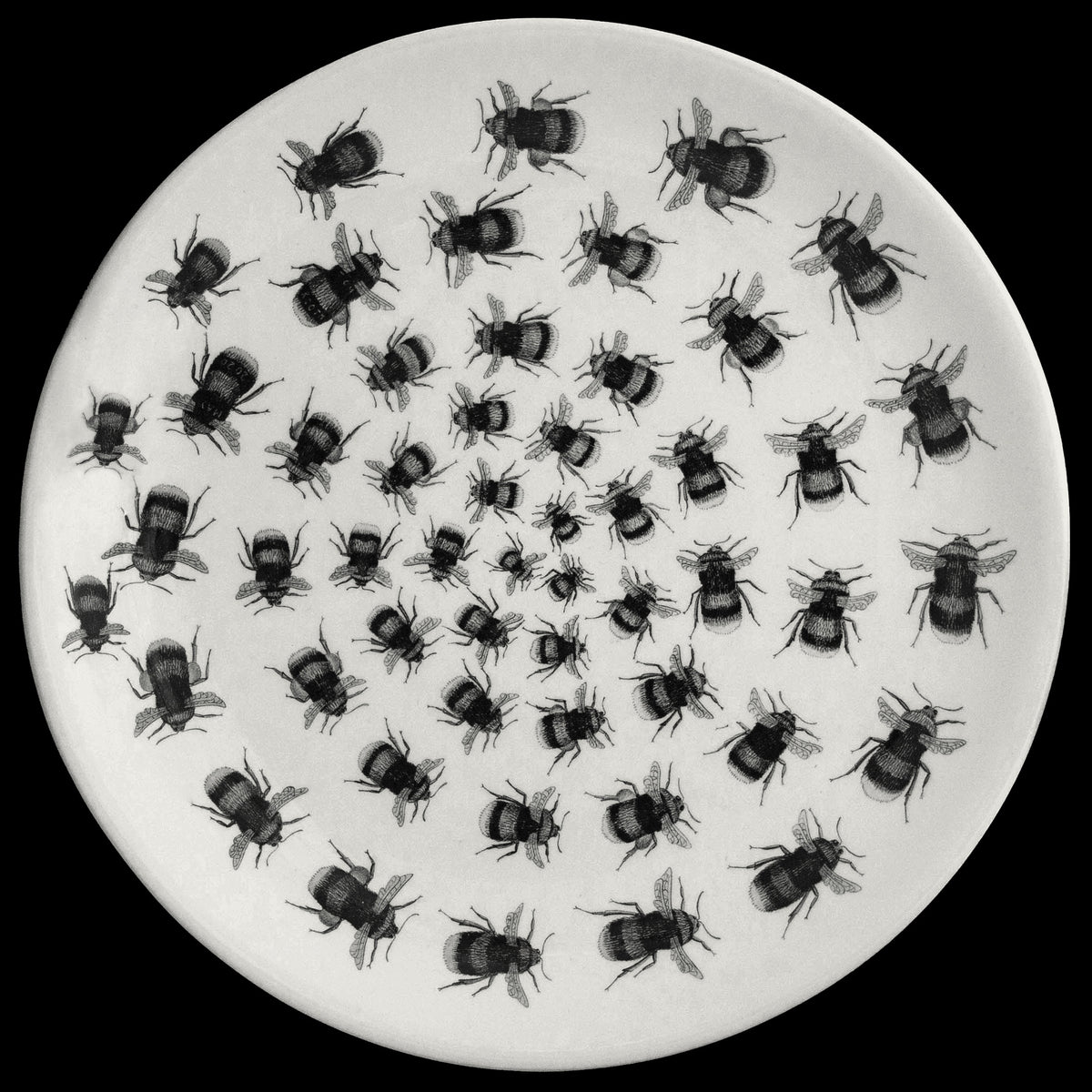 Bees – Octopus – Tom Rooth