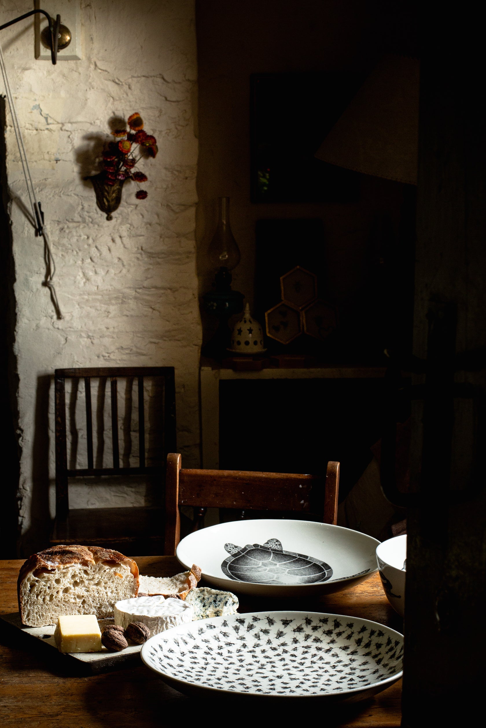 Turtle – Tom Rooth