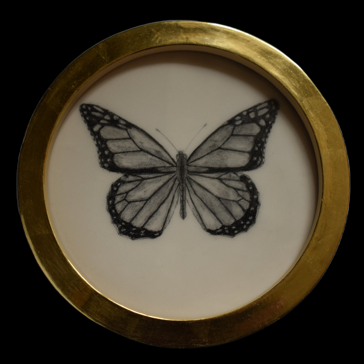 Monarch butterfly (60) – Tom Rooth