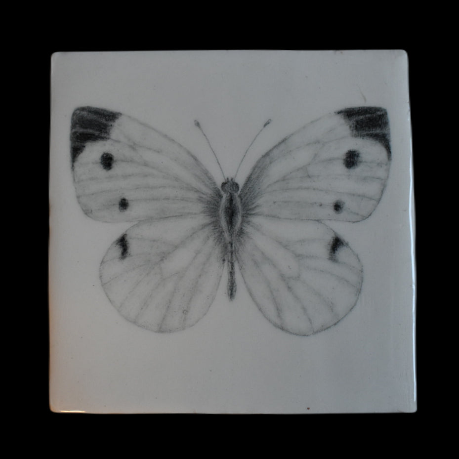 White Cabbage Butterfly Tattoos What Do White Butterflies Mean? Their