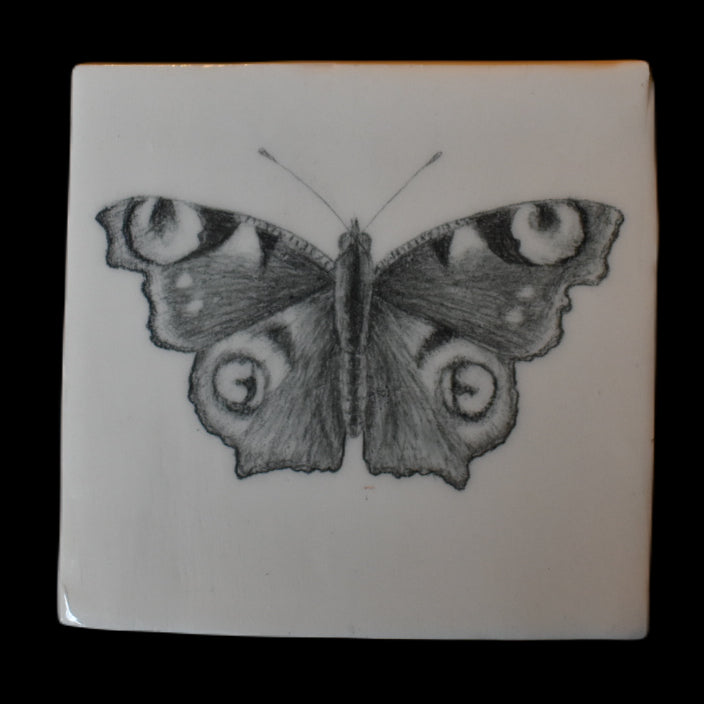 Peacock butterfly – Tom Rooth