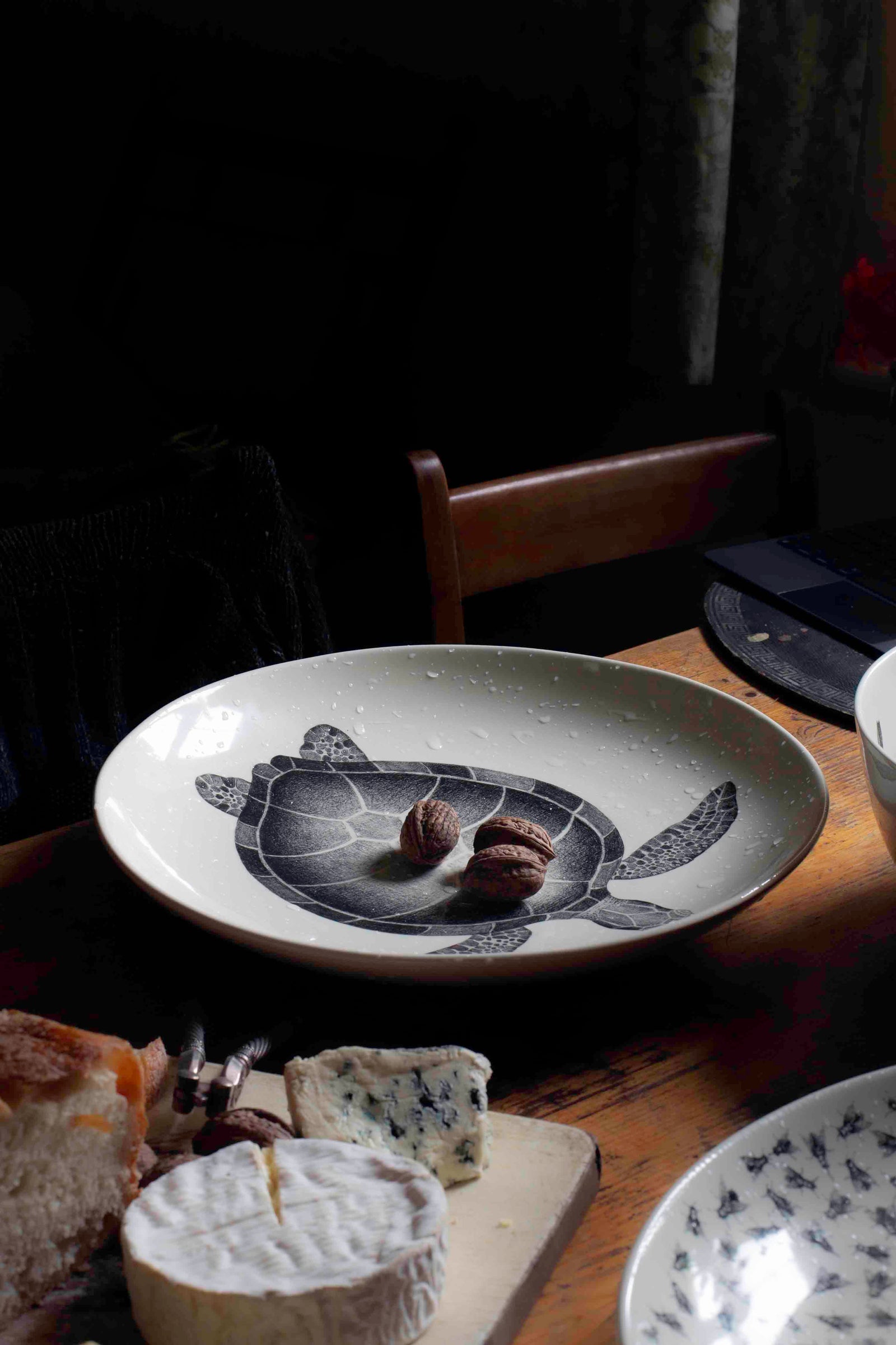 Turtle – Tom Rooth