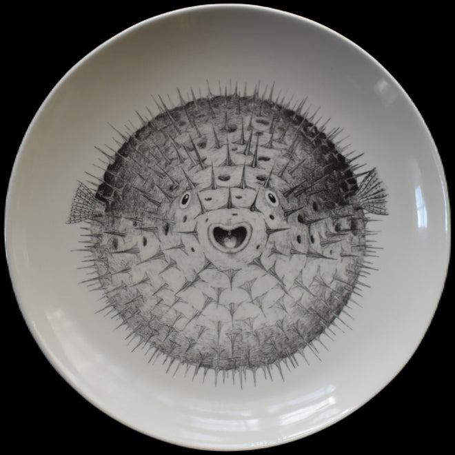 Tom Rooth | hand-drawn and handmade ceramics
