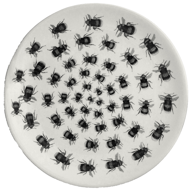 Tom Rooth | The Oceanic Collection | Fine hand finished dinnerware